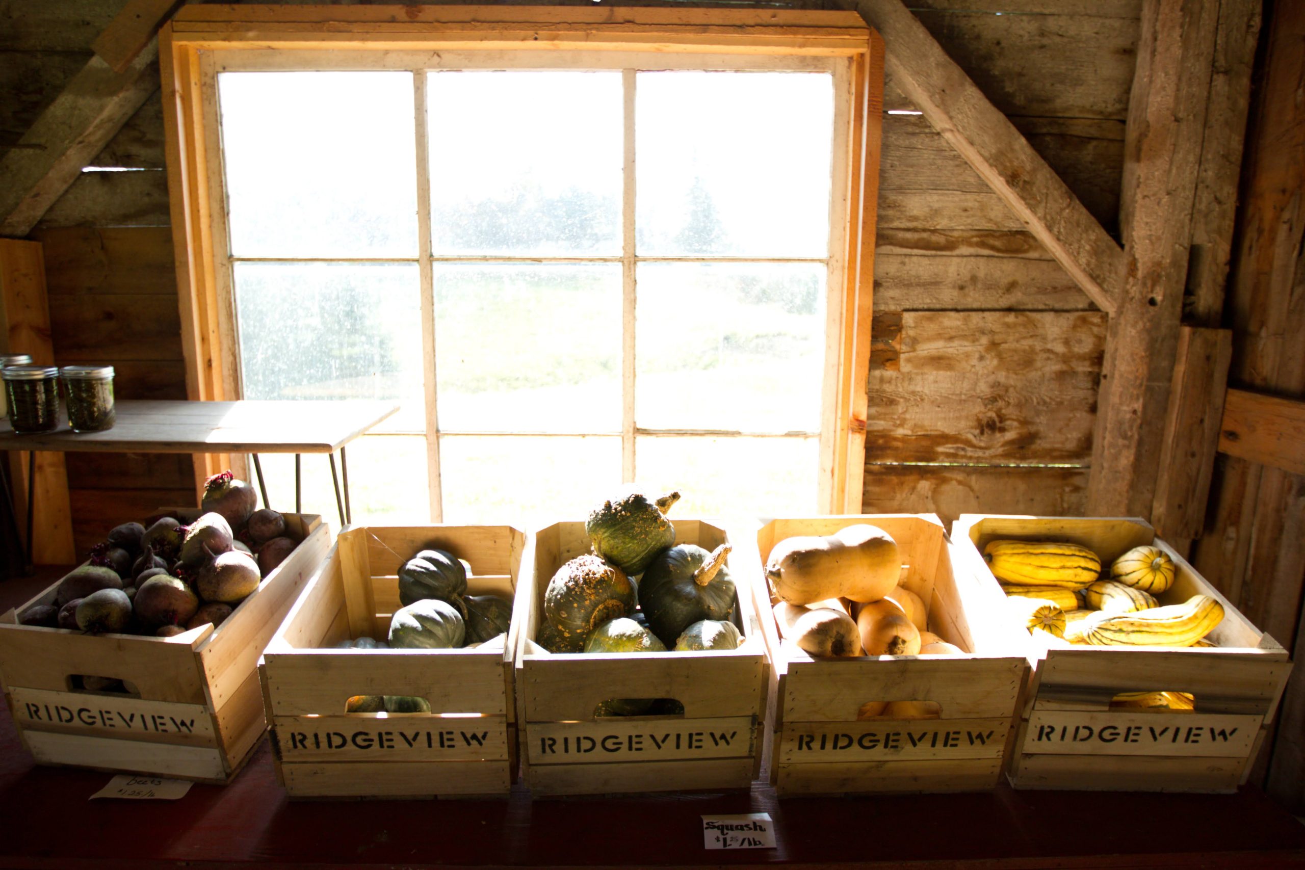 Green Mountain Farm Direct – GMFTS