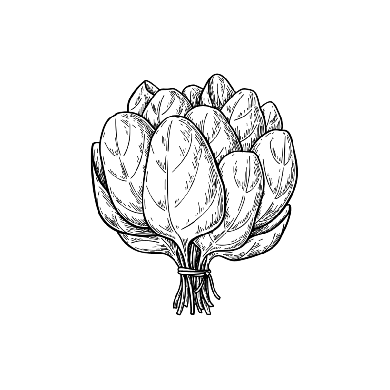 Educational Resources | GMFTS