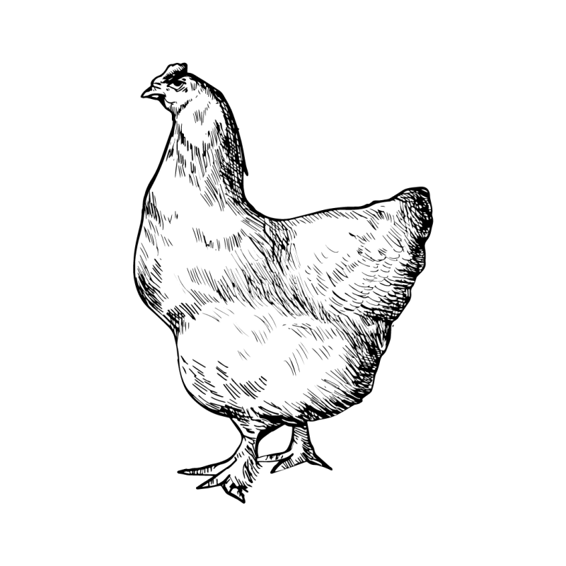 Educational Resources | GMFTS