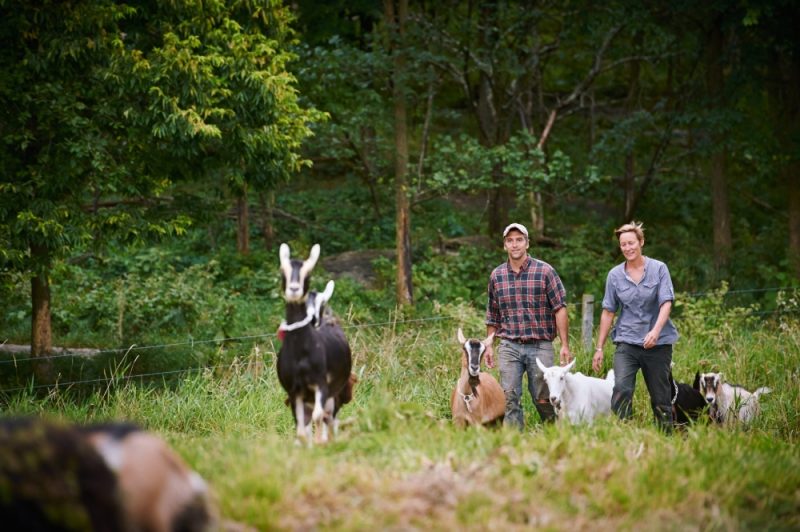 Meet the Farmers: Blue Ledge Farm | GMFTS